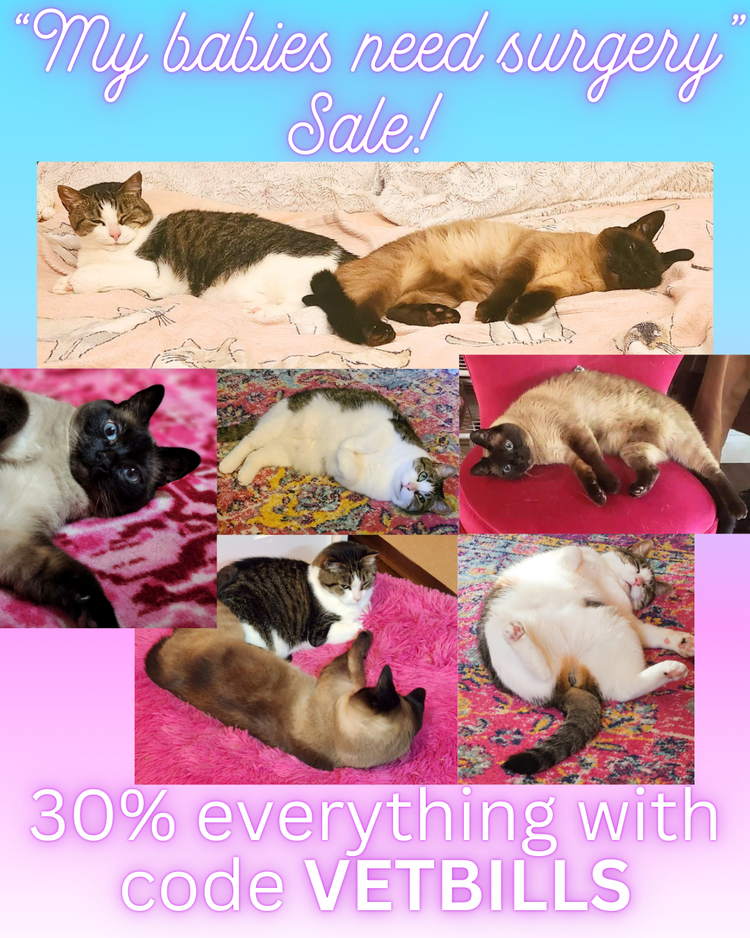 Pretty and Rude Embroidery Kits, stickers, and more! – Pretty Rude Things